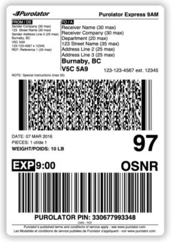 Set Up Purolator with WooCommerce Shipping Services