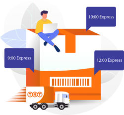 TNT Shipping - PluginHive